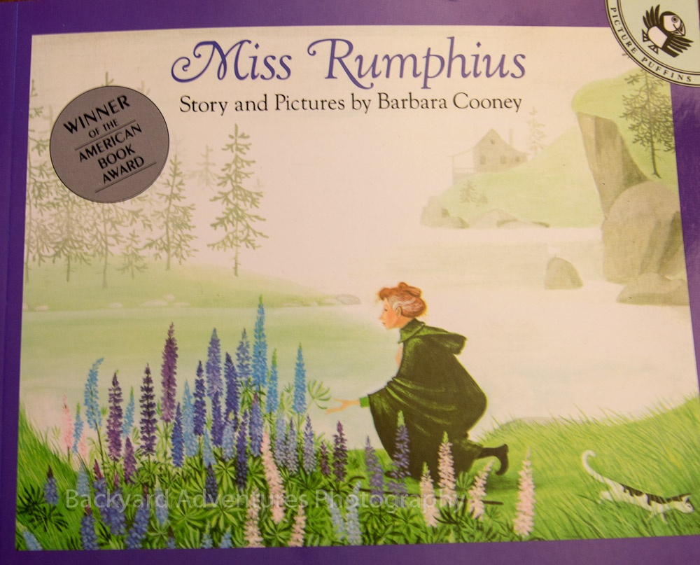 Lupine Festival – Backyard Adventures Photography