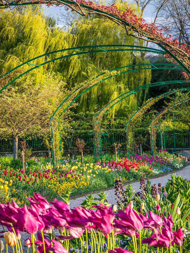 Monet’s House & Gardens – Backyard Adventures Photography