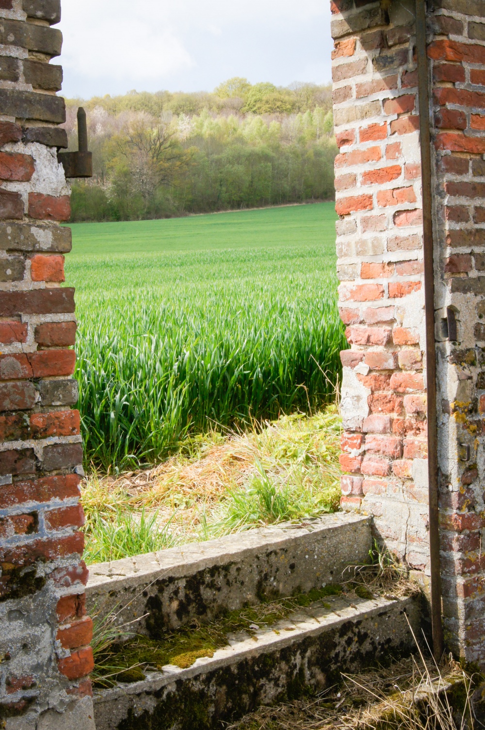French Farm/Countryside – Backyard Adventures Photography