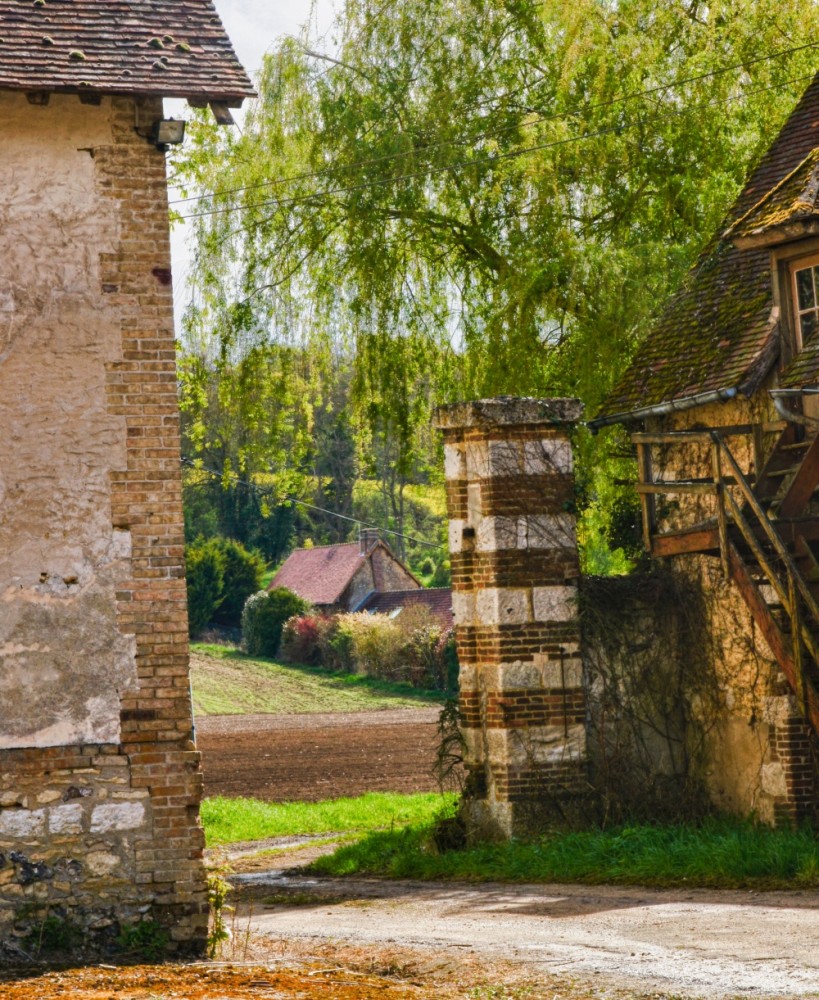 French Farm/Countryside – Backyard Adventures Photography