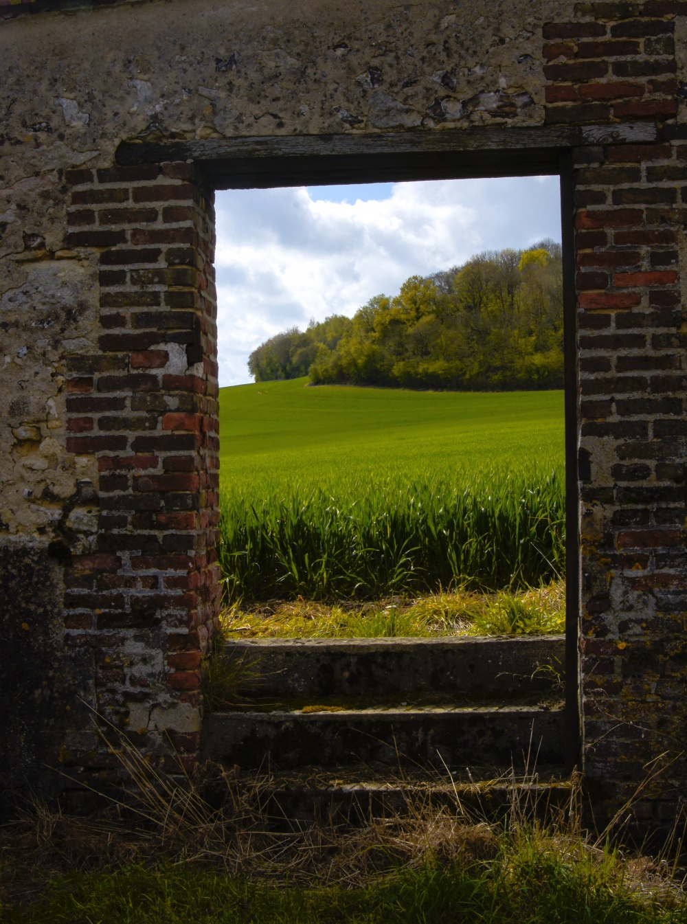 French Farm/Countryside – Backyard Adventures Photography