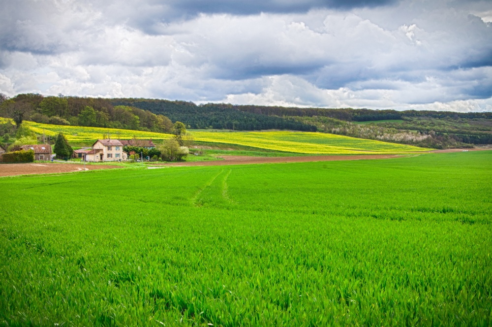 French Farm/Countryside – Backyard Adventures Photography