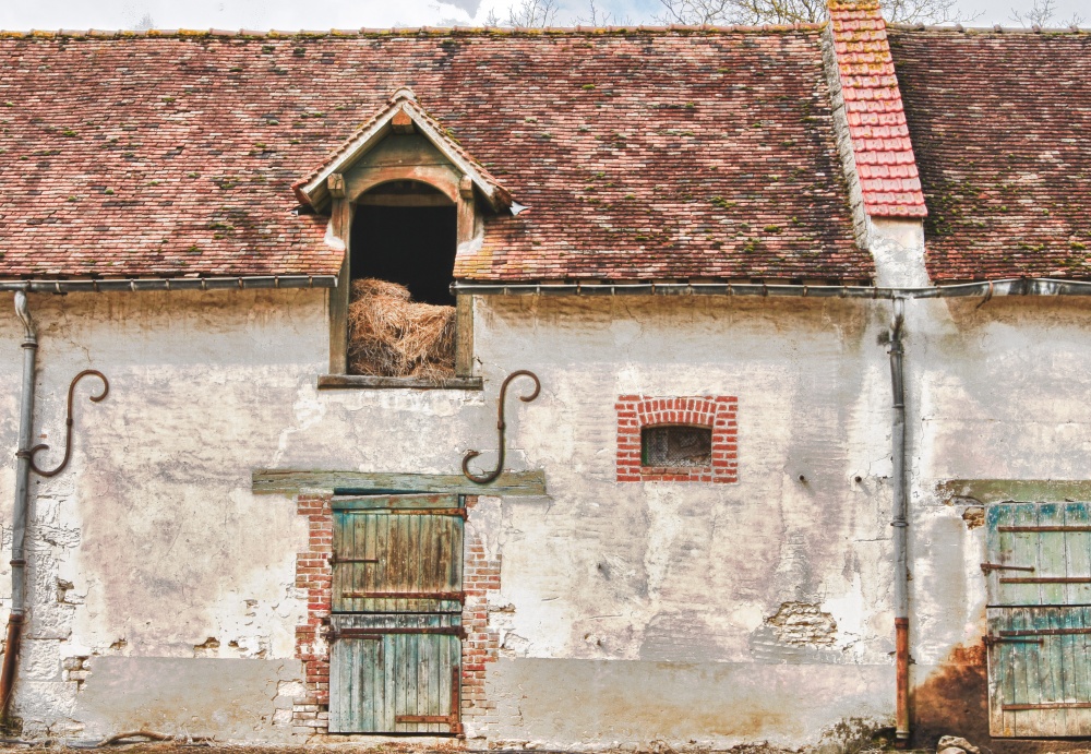 French Farm/Countryside – Backyard Adventures Photography