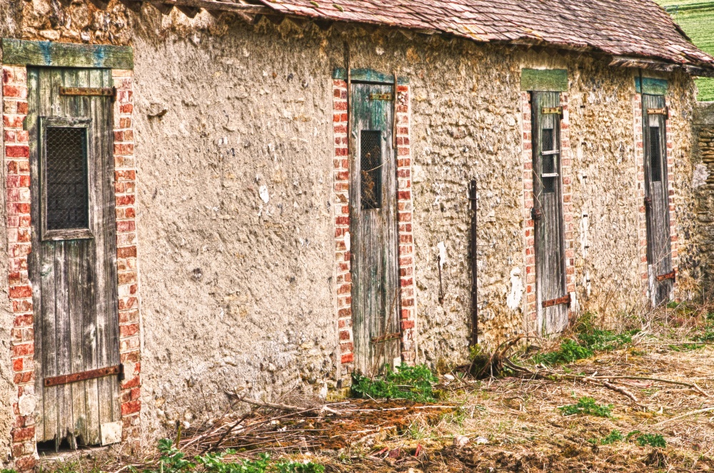 French Farm/Countryside – Backyard Adventures Photography
